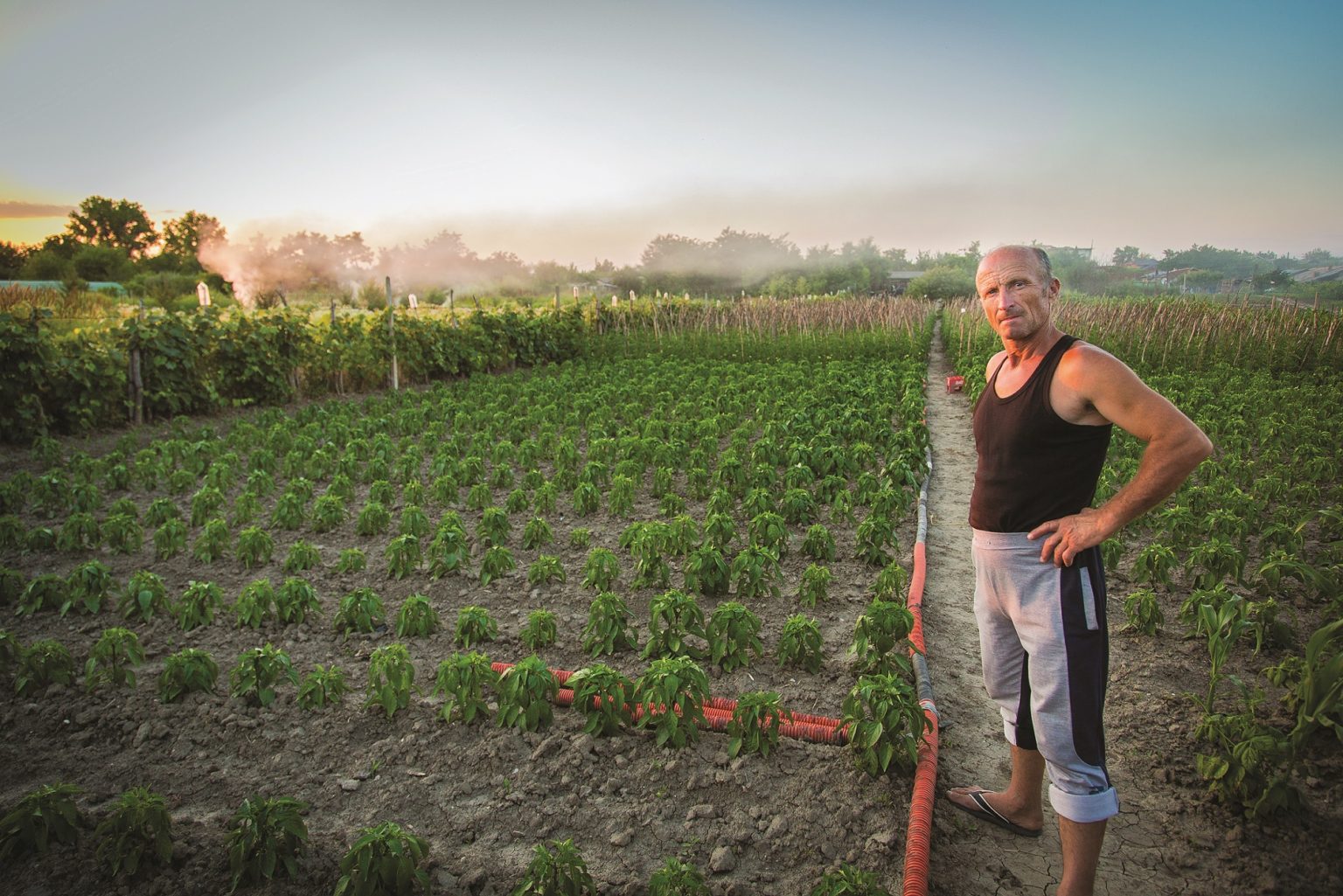 Missionary Opportunities in Romania | Work With A Mission Agency